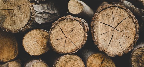 Vedspisar & unika gjutjärnsspisar - Josef Davidssons Eftr.